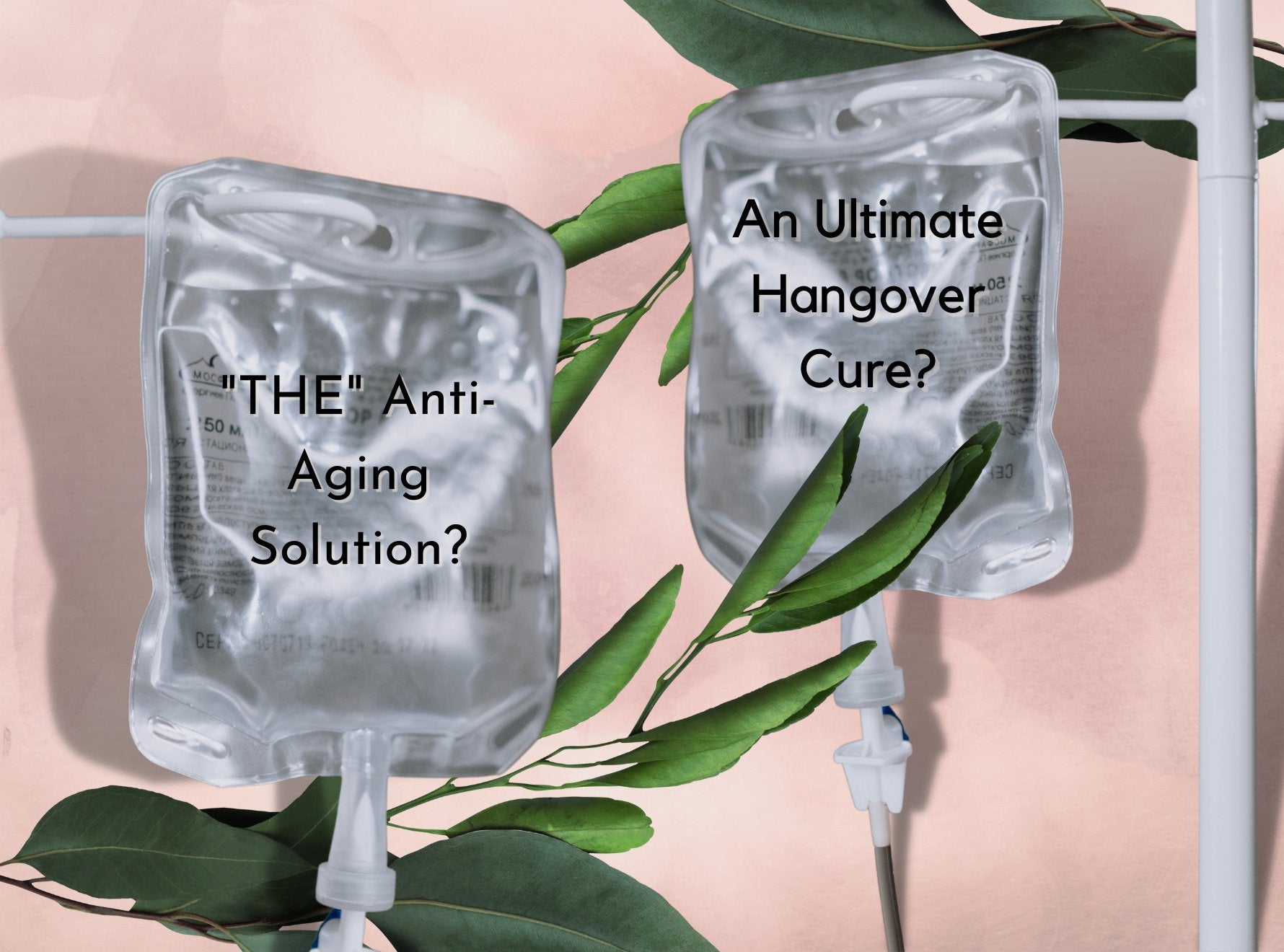 Ever Heard of an IV Drip Spa?